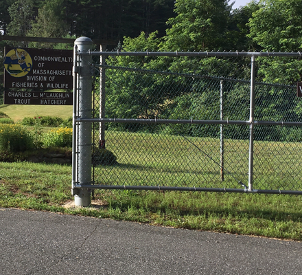 McLaughlin Hatchery | Mass.gov